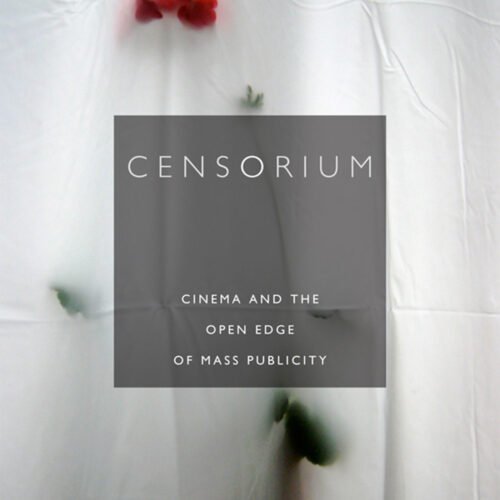 Dis/Enchantments – The Chicago Center for Contemporary Theory